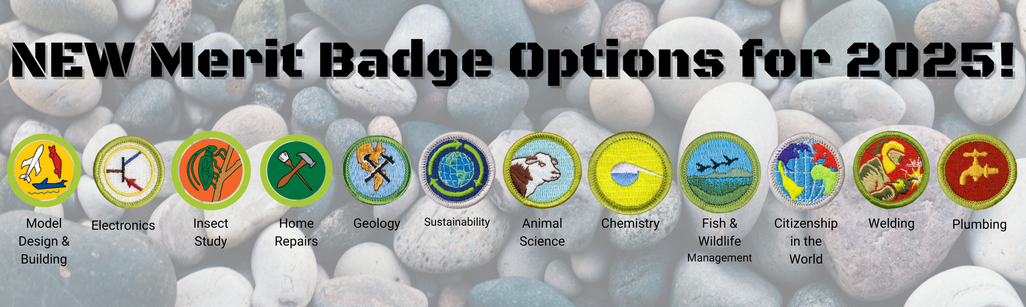 Scout Camp - Northeast Iowa Council